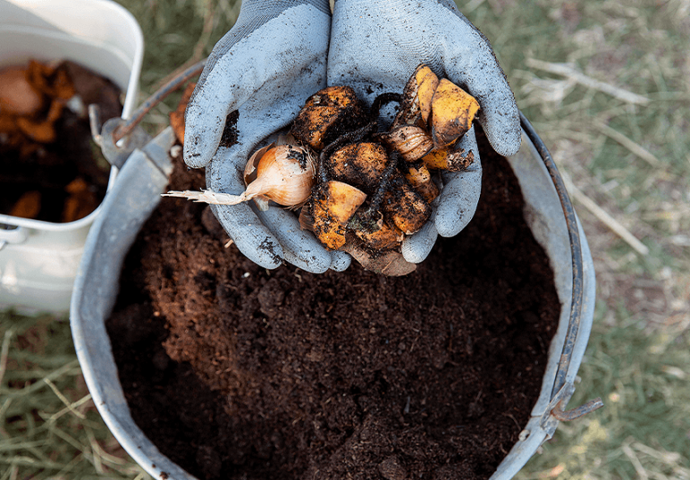 Compost 101: Guía paso a paso para crear una pila de compost