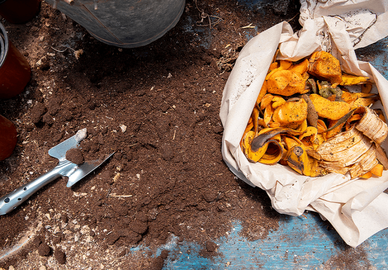 Cómo Utilizar El Compost Para Enriquecer El Suelo – HHCT