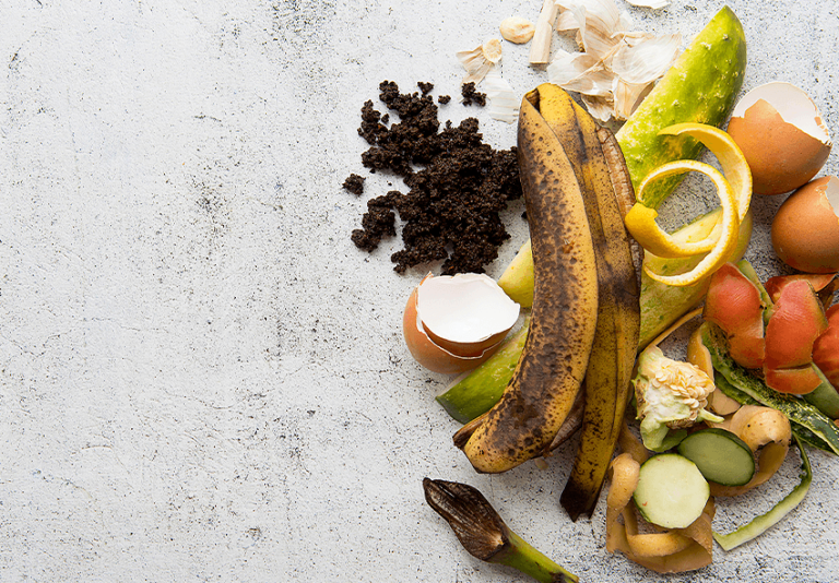 Composteren 101: een stap-voor-stap handleiding voor het maken van een ...