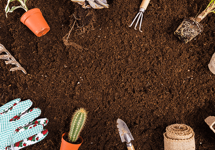 Garden Care: Soil Preparation and Maintenance - A Comprehensive Guide ...