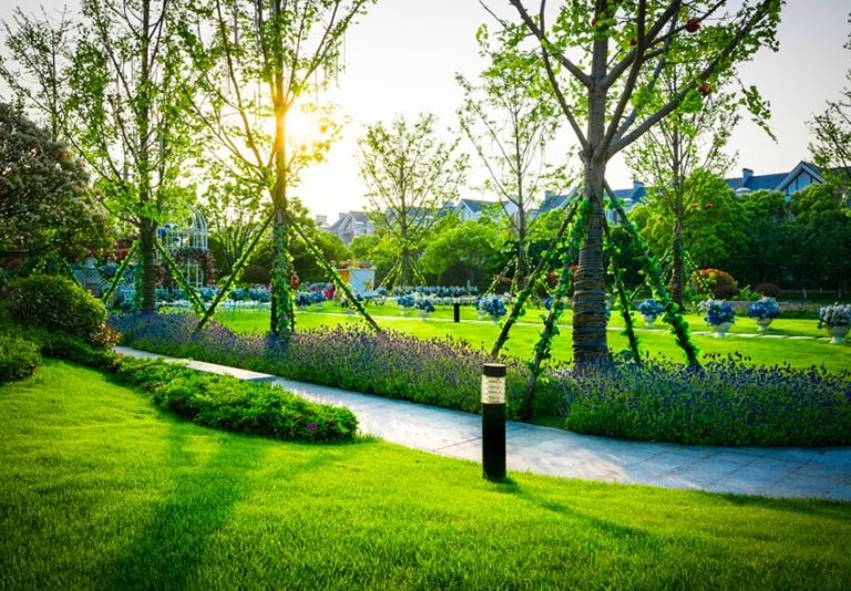 Soft Landscaping: Ideas and Inspiration for a Beautiful and Functional ...