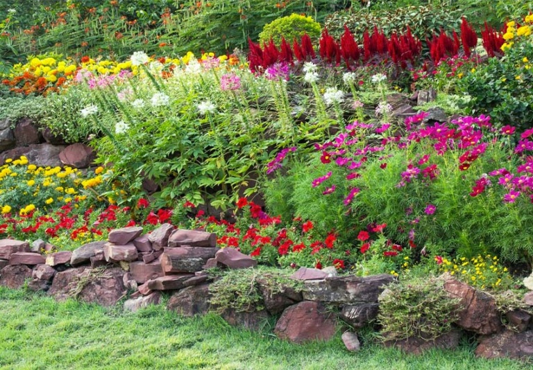 Creating a perennial mixborder: a comprehensive guide to timeless ...