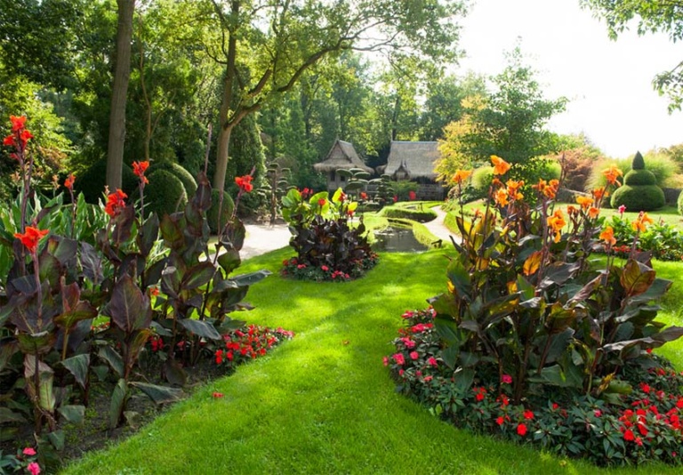 Complete Guide for Canna Lilies: Planting, Care & Landscaping Tips