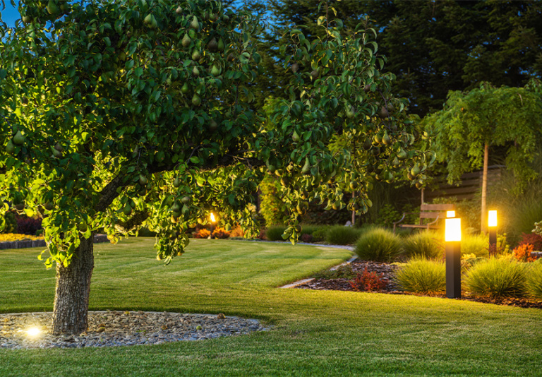 Garden Lighting Design Ideas for Outdoor Areas | Stylish & Practical Tips